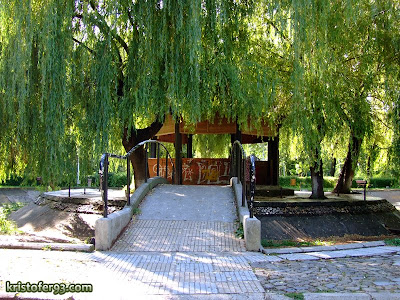 Lacusorul din Parcul Cancicov Bacau este uitat de lume - Ghinghes.ro