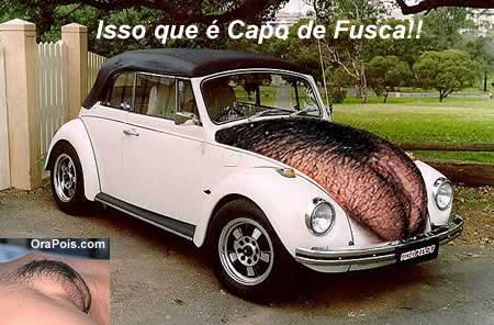 Fusca na foto: Capô de Fusca é arte
