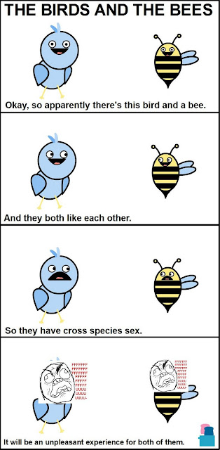 The Toast: The Birds and the Bees