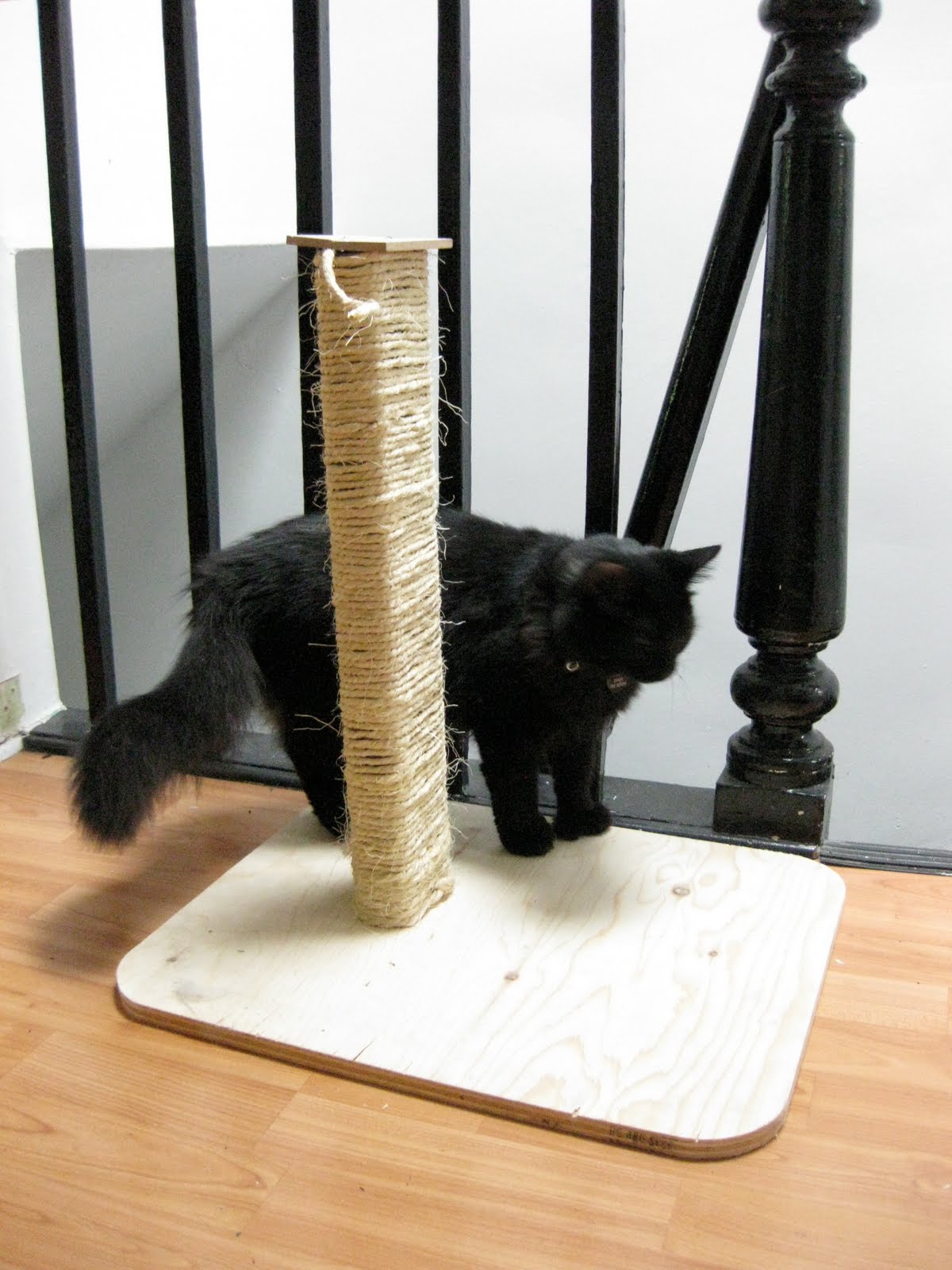 Elaine Ho make Your Own Cat Scratching Post elaine-ho-make-your-own-cat-scratching-post