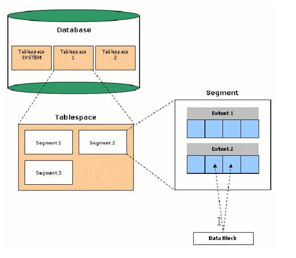 Ctms Ted: Oracle Database Basic Architecture