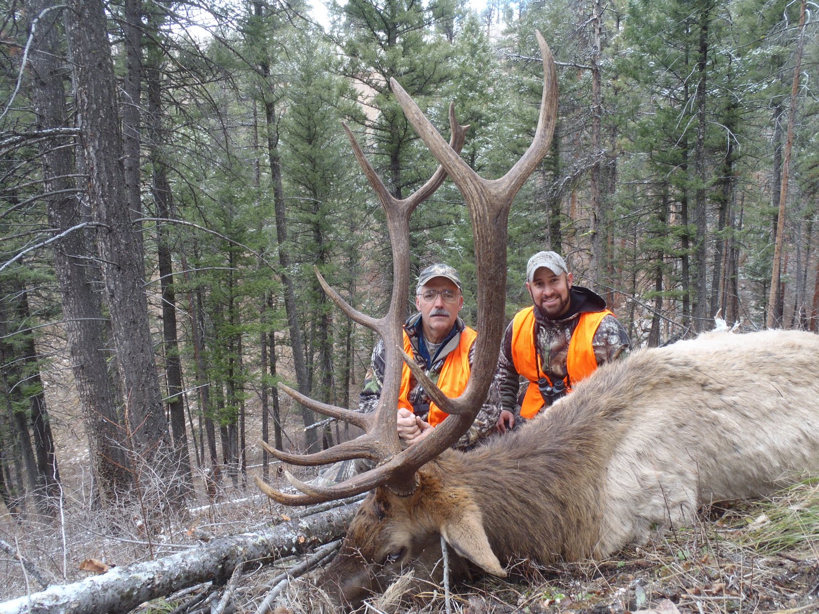 Montana Outfitter Journal: Elk hunting in Montana Montana Outfitter Journal: Elk hunting in Montana