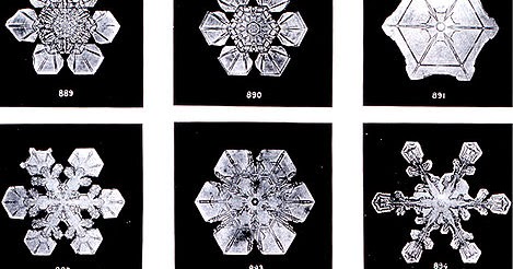 Heather Powers Art: Snowflake Bentley