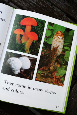 The Book Children: mushrooms!