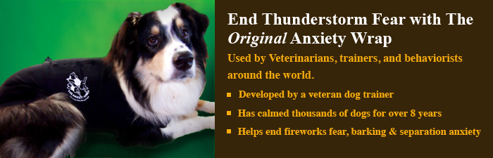Anxiety Wrap Says Comparison Of Anxiety Wrap Thundershirt Storm anxiety-wrap-says-comparison-of-anxiety-wrap-thundershirt-storm