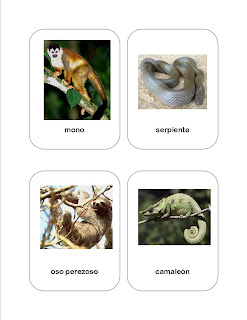 Homemade Spanish: Animales de la selva y del trópico