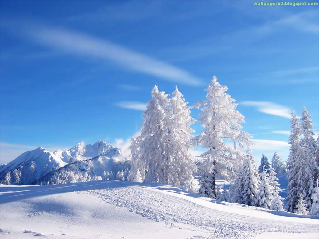 wallpaper: Winter Season Wallpapers 2
