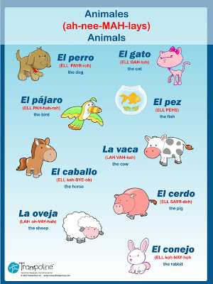 Hola: Spanish Animals