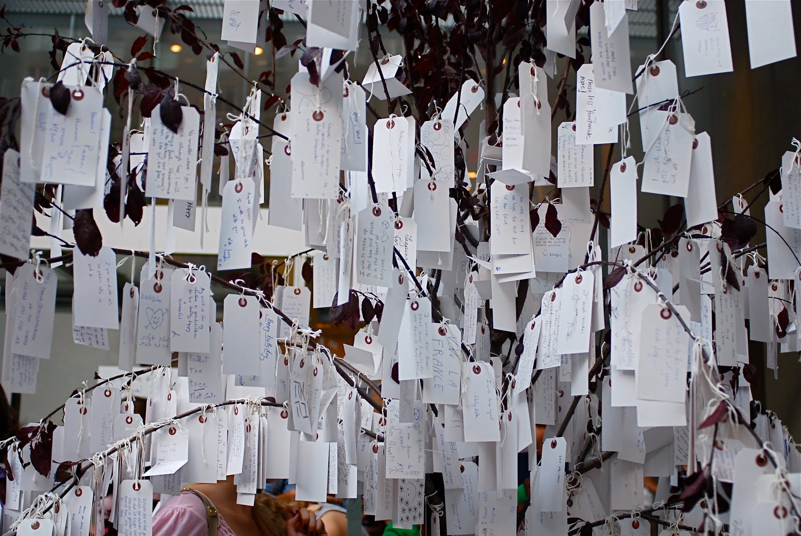 NYC ♥ NYC: Yoko Ono's WISH TREE for the Museum of Modern Art