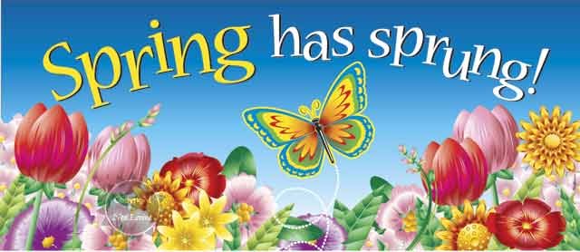 In Btween Thoughts: Spring Has Sprung