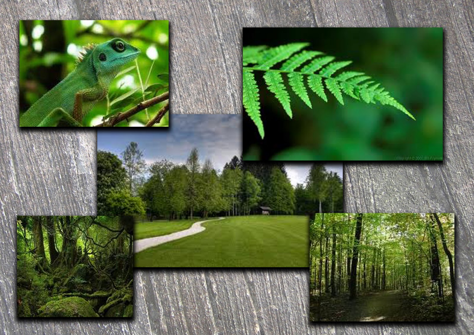 Stacie 5 Mood Board stacie-5-mood-board