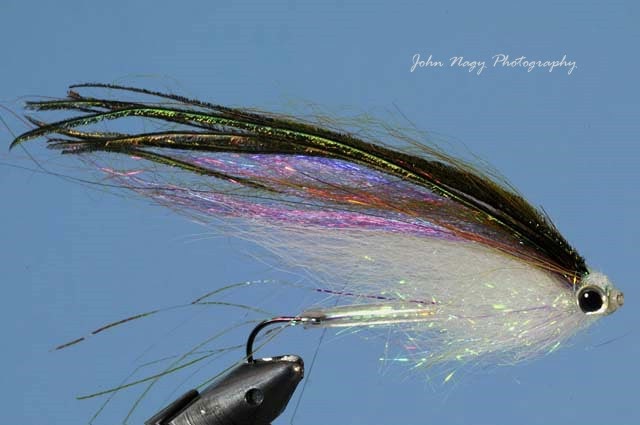 John Nagy's Steelhead Journal: Lake Erie Rainbow Smelt by John Nagy