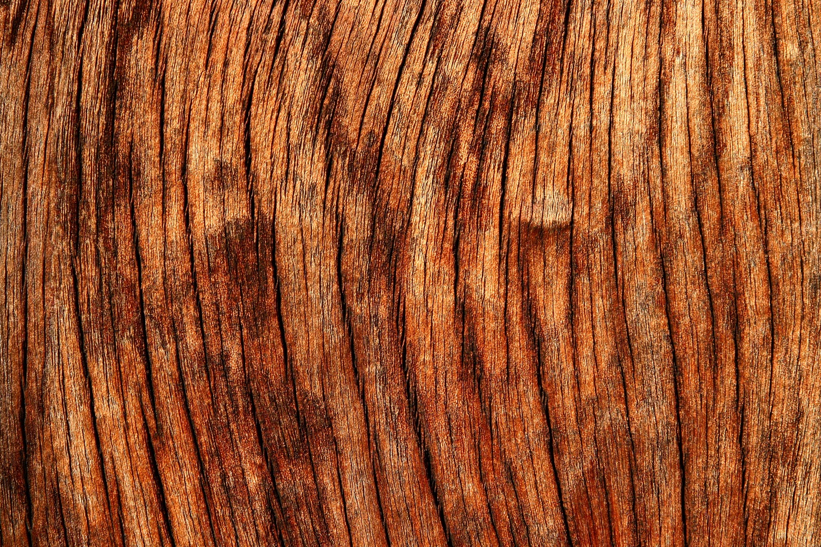 ART4990 Adv Graphic: TEXTURE ART4990 Adv Graphic: TEXTURE