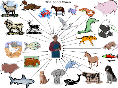Who eats whom?: Acquirement of knowledge