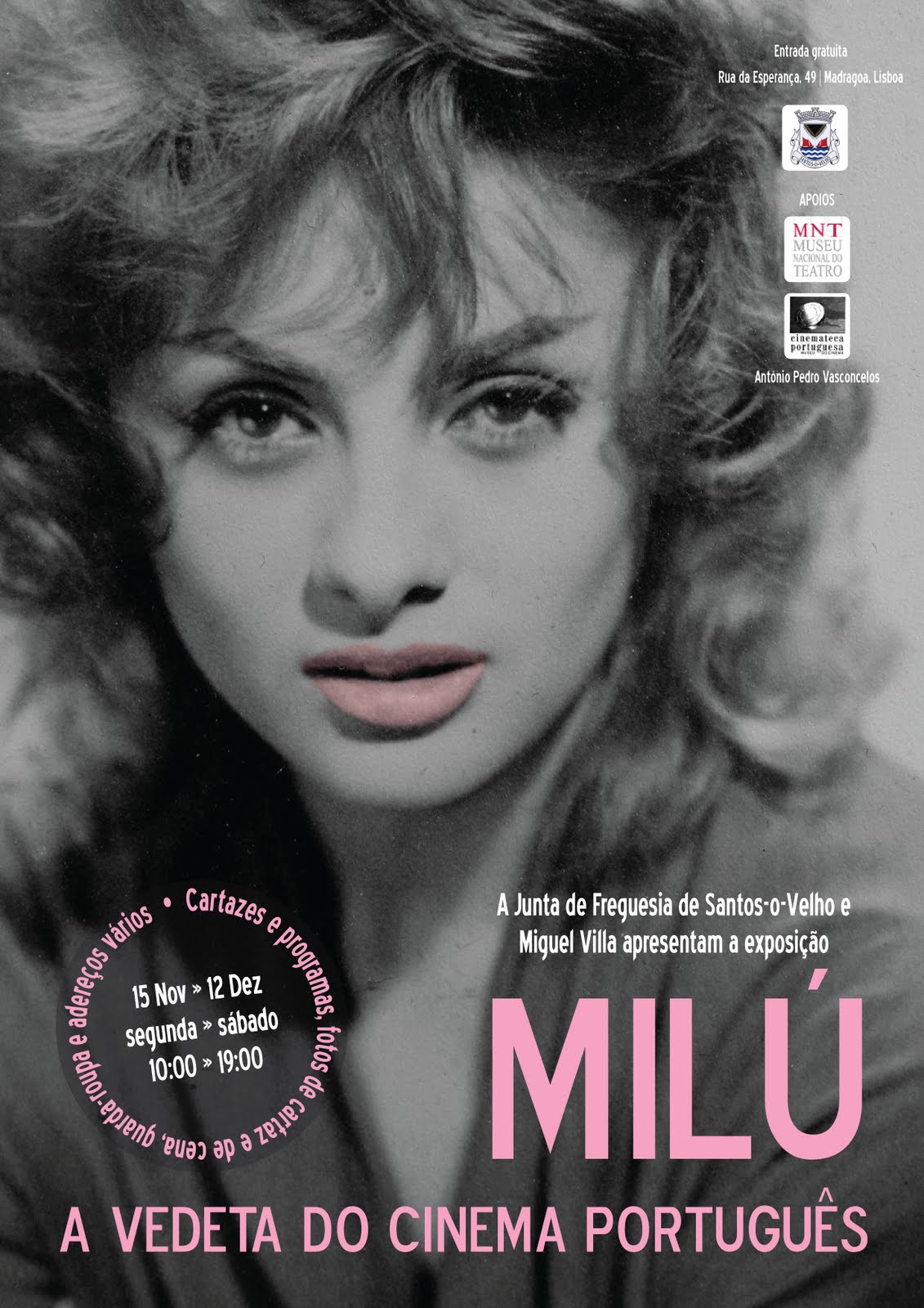 Milù - JungleKey.de Bilder