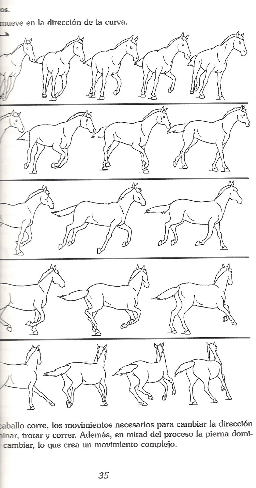 Animaciones con movimiento de animales - Imagui