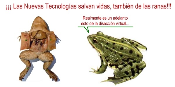 Tengo un TIC: Disección virtual de una rana