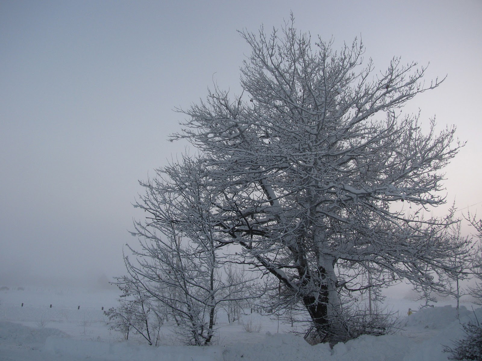 Robert Frost s Banjo In The Bleak Midwinter robert-frost-s-banjo-in-the-bleak-midwinter