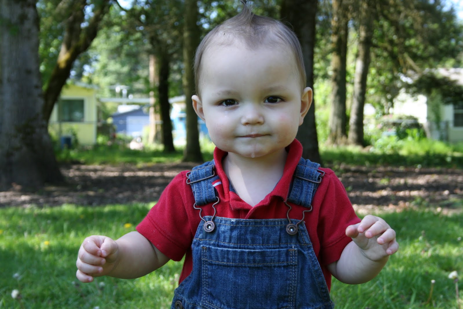 The Grimmett s 1 Year Old Photo Shoot the-grimmett-s-1-year-old-photo-shoot