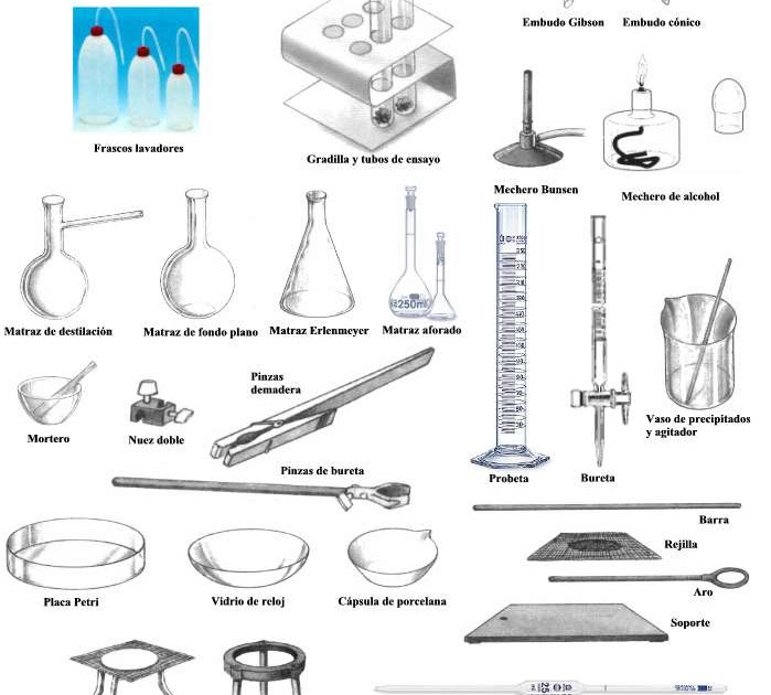 evolucion: Materiales de laboratorio