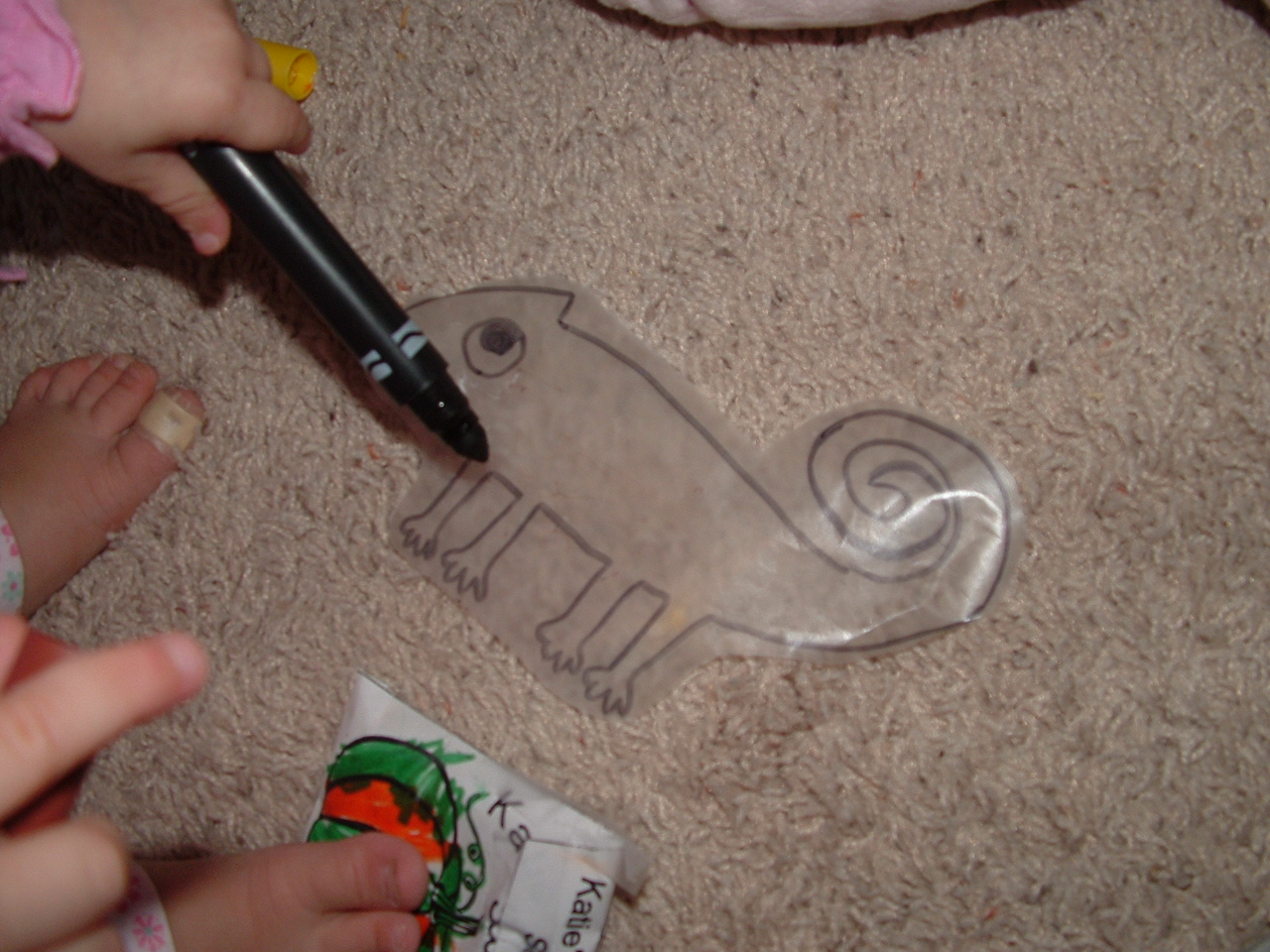 Pieces by Polly: Colorful Chameleons - Book & Activity