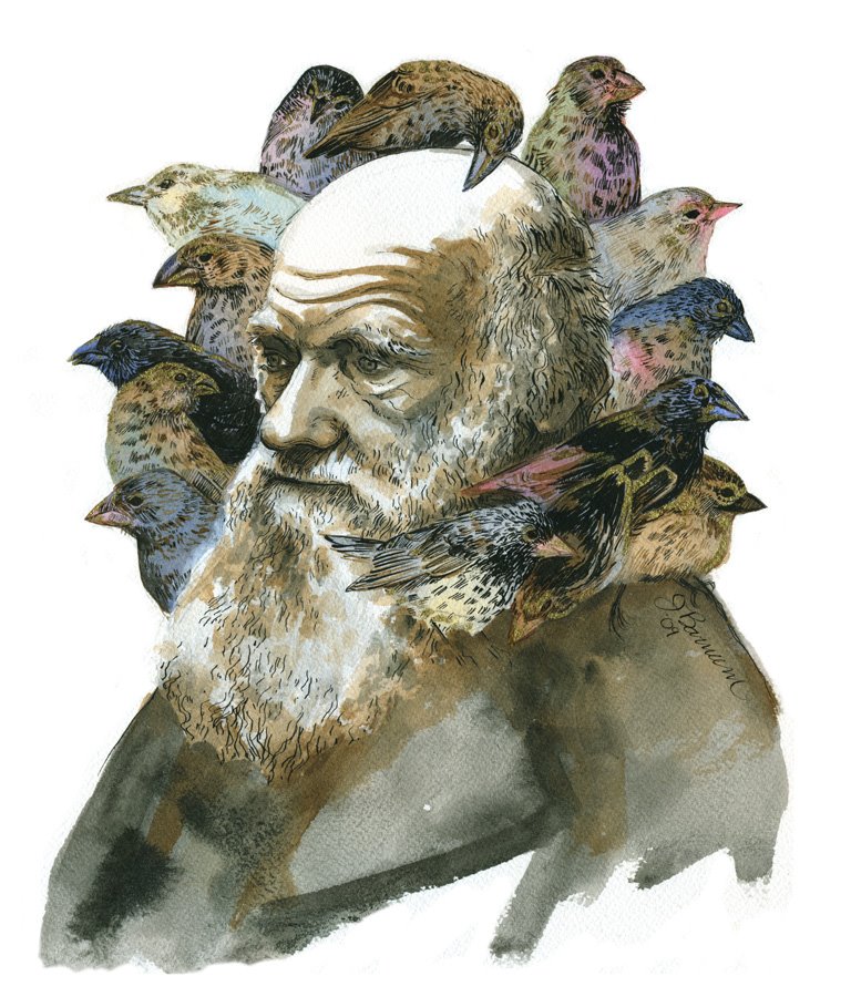 CHARLES DARWIN PARA NIÑOS: BIOGRAFÍA DE CHARLES DARWIN CHARLES DARWIN PARA NIÑOS: BIOGRAFÍA DE CHARLES DARWIN