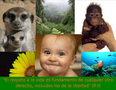 el respeto como valor humano: el valor del respeto en la sociedad / realizado por: Kelly ...