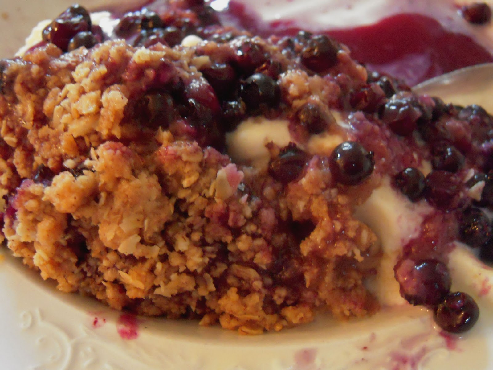 Marvelously Messy Blueberry Crisp marvelously-messy-blueberry-crisp