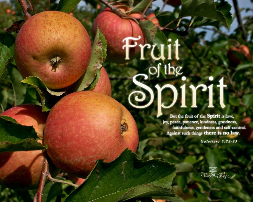OurLordsWill Galatians 5 22 23 ourlordswill-galatians-5-22-23