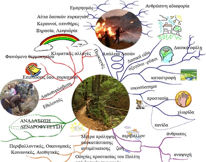 Terres brûlées...et après?: Forest Fires - Mind mapping
