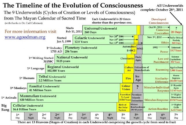The Visions: The Evolution of Consciousness