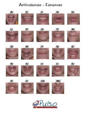 LIC. E. E FLOR PRECIADO: ARTICULACIÓN DE LOS FONEMAS
