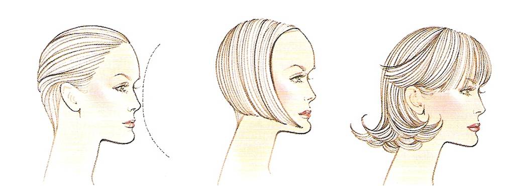 Rostro perfil y frente - Imagui