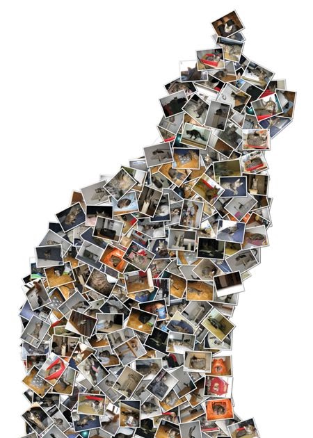 Get Everything Done Shape Collage Free Automatic Photo Collage Maker get-everything-done-shape-collage-free-automatic-photo-collage-maker