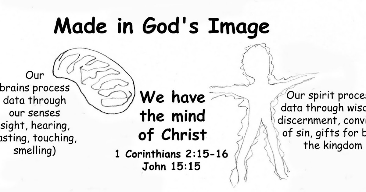Getting To Know God: Made in God’s Image
