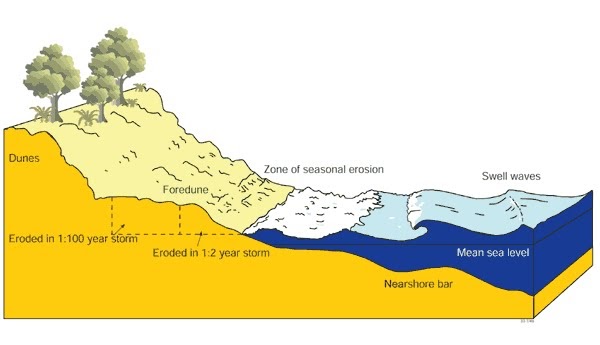 North Coast Voices: Is this your favourite beach? Mapping NSW coastal ...