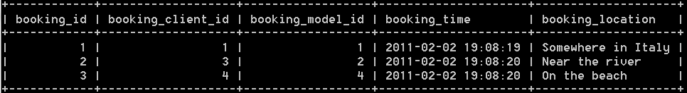 The IdleWorx Blog: Part 2: The ModelingAgency Application The IdleWorx Blog: Part 2: The ModelingAgency Application