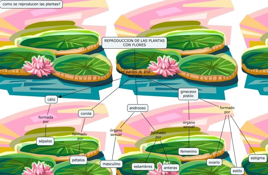 REPRODUCCIÓN EN ORGANISMOS: ¿CÓMO SE REPRODUCEN LAS PLANTAS CON FLOR?