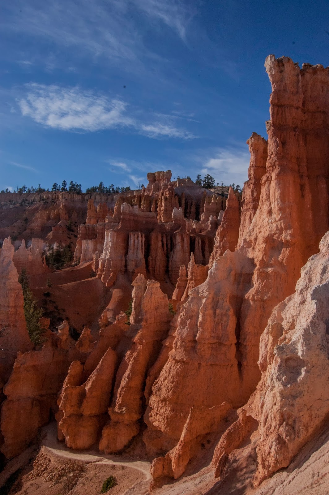 Green_Trails: Bryce Canyon // Hoodoos // Navajo Country