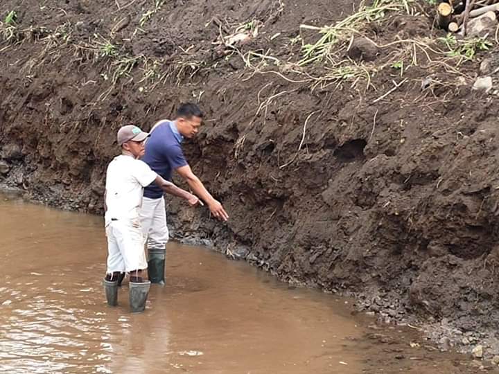 Penemuan arca Resi Agastya, Lembu Andhini dan batuan candi di tanah kas ...