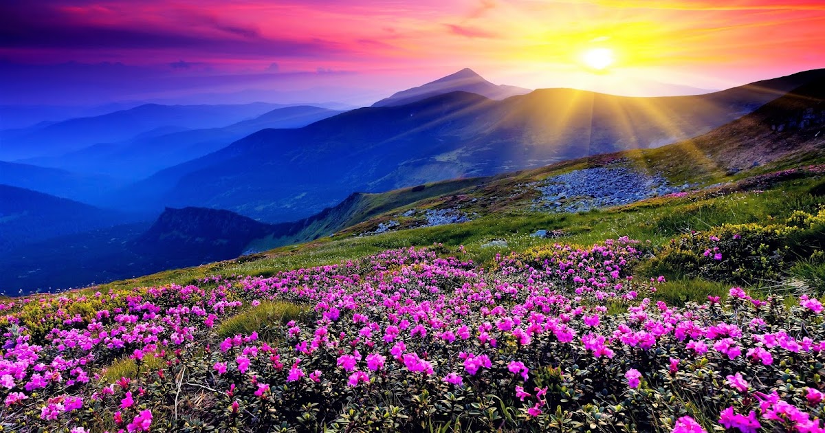 5-five-5: Nanda Devi and Valley of Flowers National Parks (India)