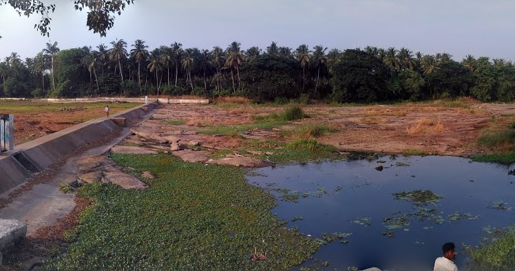 Revive Kannadi Puzha