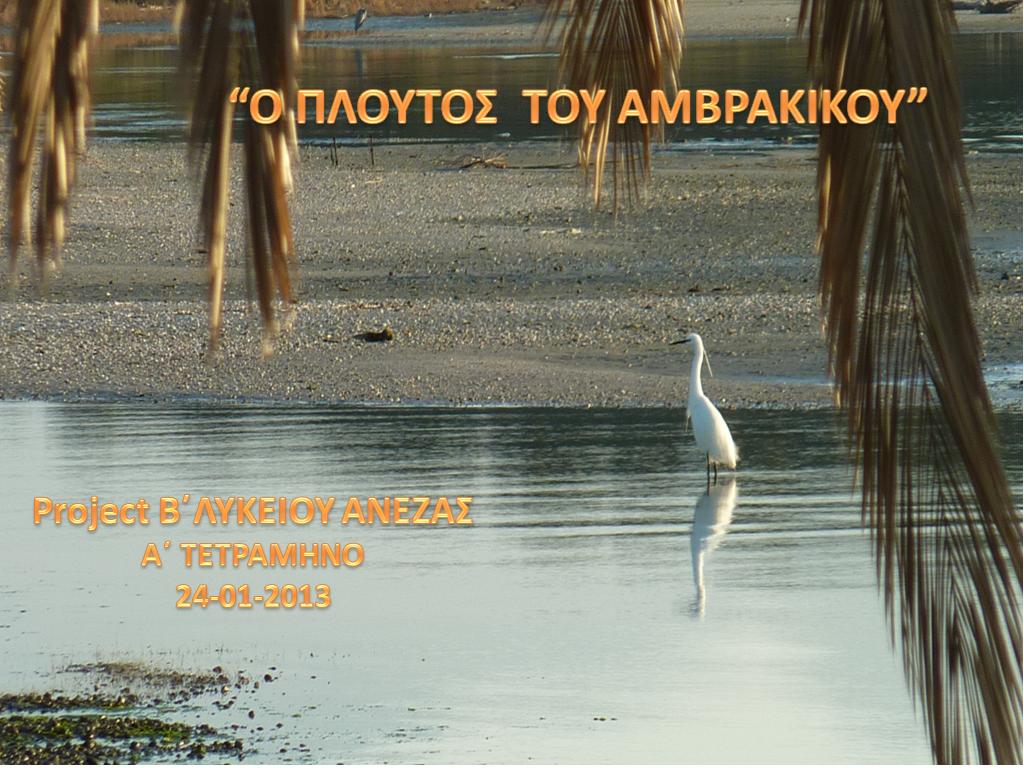 Ο ΠΛΟΥΤΟΣ ΤΟΥ ΑΜΒΡΑΚΙΚΟΥ