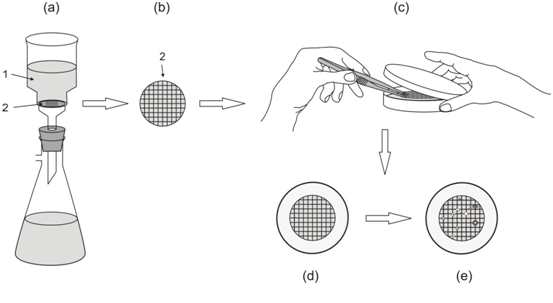 Merlins Micro World: Water Analysis- Membrane Filter Method
