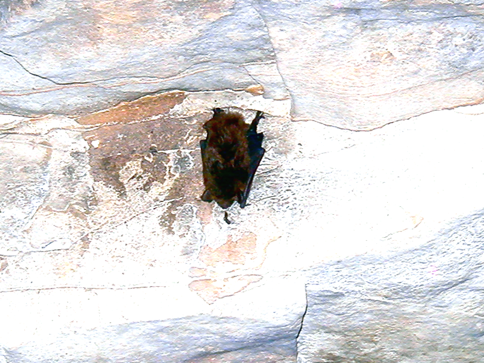 JessStryker.com: Mammoth Cave National Park 1, Kentucky