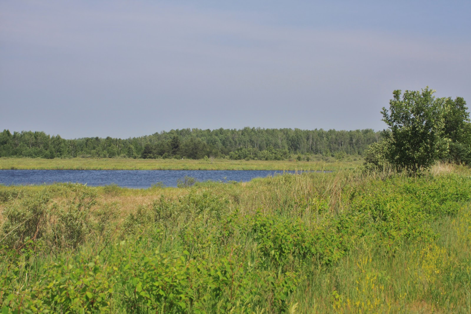 Munger Trail Hinckley to Willow River