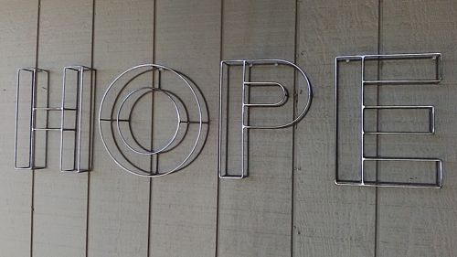 Topiary Wire Letters : Wire wall letters
