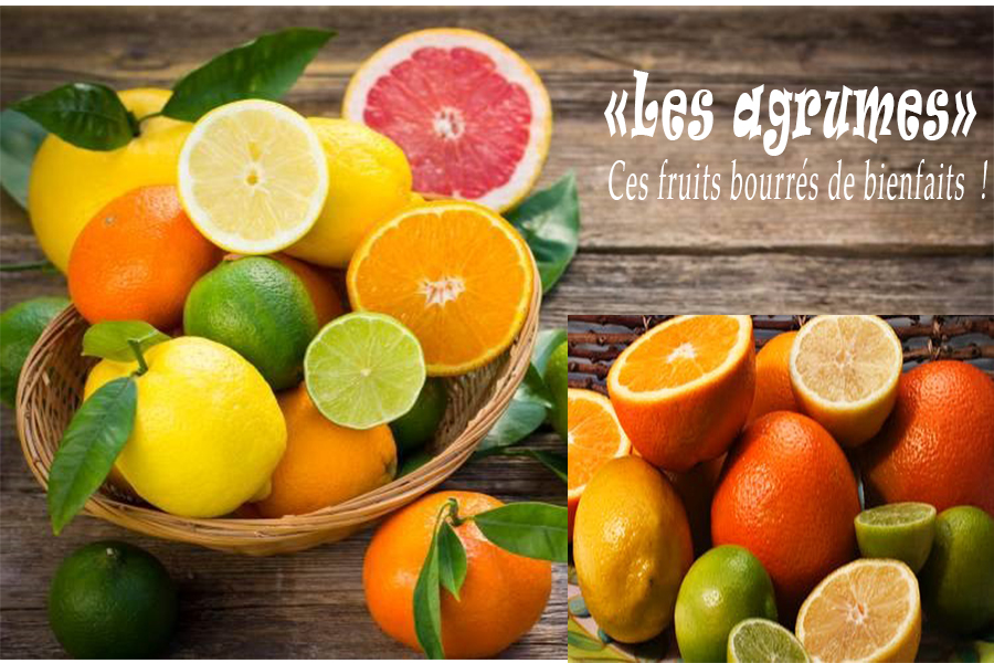 INFOS Recherches Environnementales et Agricoles : Les "AGRUMES ...