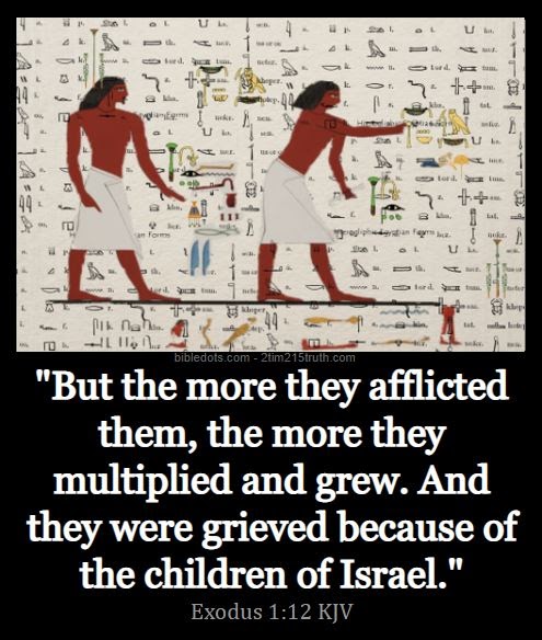 2 Timothy 2:15 Truth: Verse of the Day: Exodus 1:12 KJV