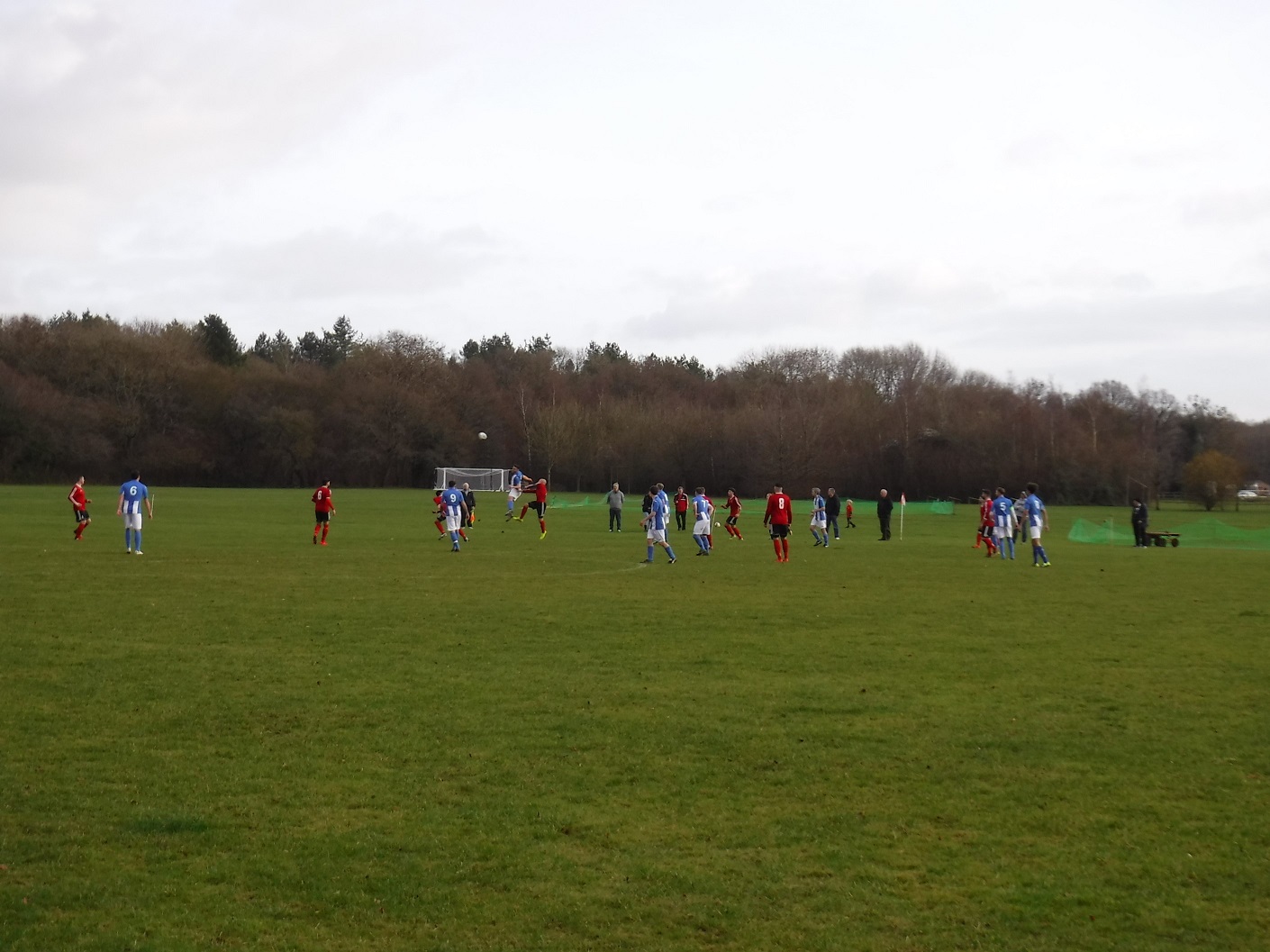 Colden Common v Overton United